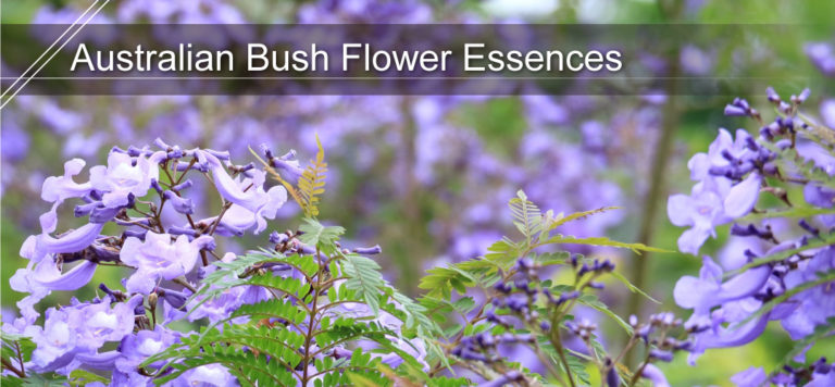 Australian Bush Flower Essences – Harmonix Naturopathy